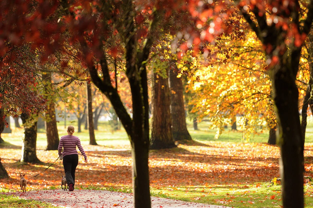 It’s the first day of fall: seasonal events abound in Greater Victoria ...